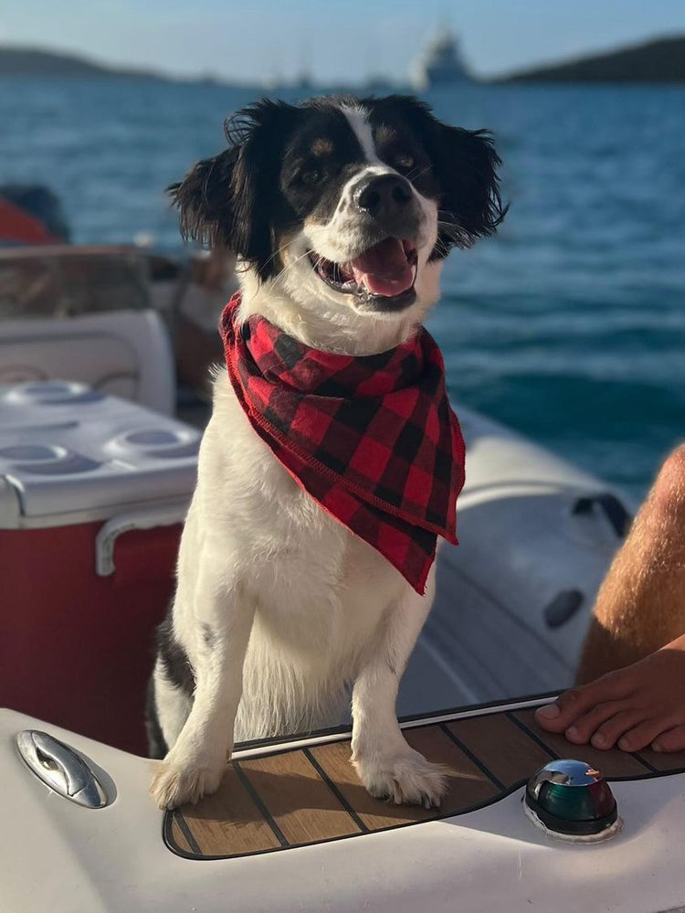 Drake and his diet – Rum Runner